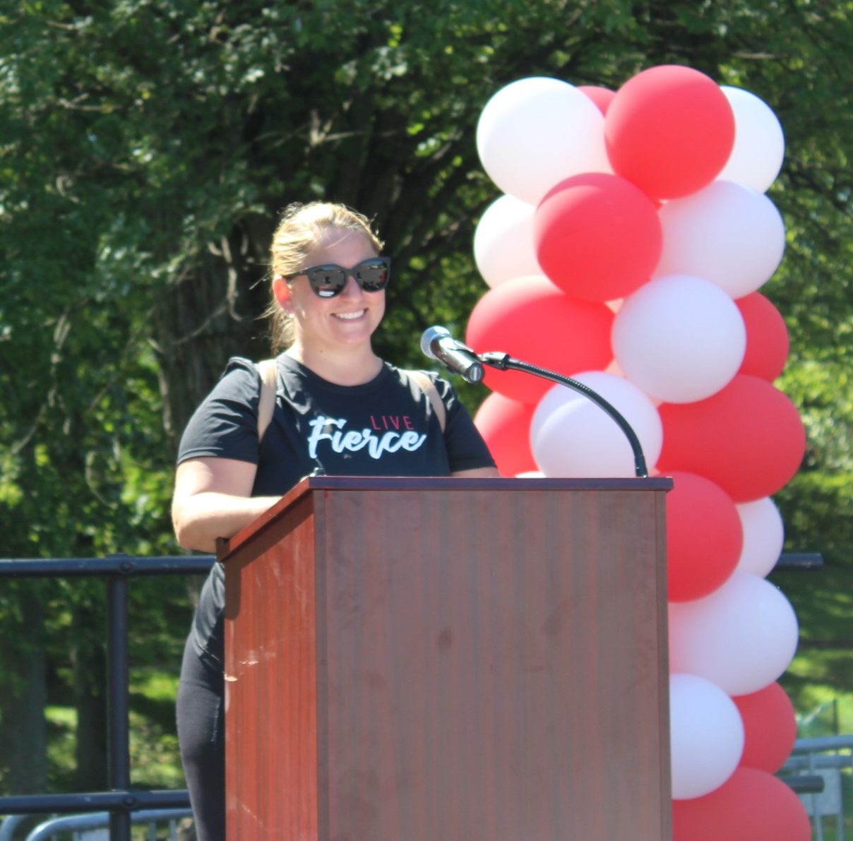 Capital Region Heart Walk raises $326,000 for American Heart ...
